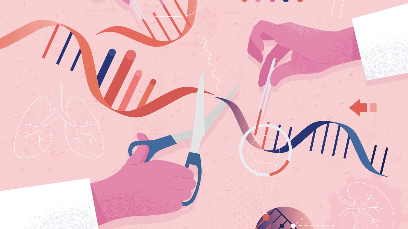 Gen- und Zelltherapie: Berliner Start-ups suchen Therapien gegen ...