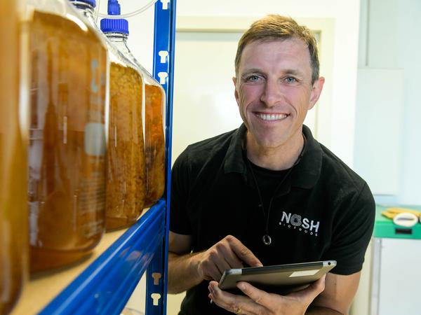 Pilze für die Eiscremeproduktion: Ein Berliner Start-up liefert vegane Zusatzstoffe