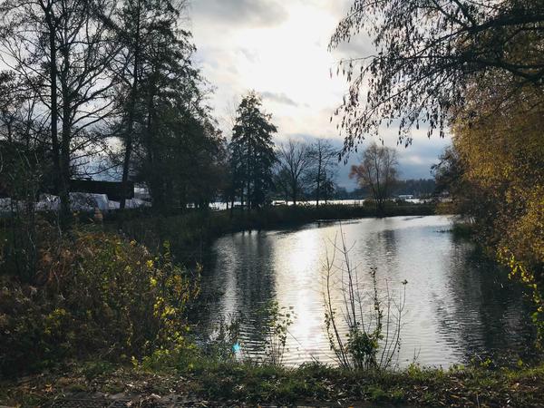 Schönster Park in Berlin-Spandau: Ostern 2021 ist Baustart an der ...