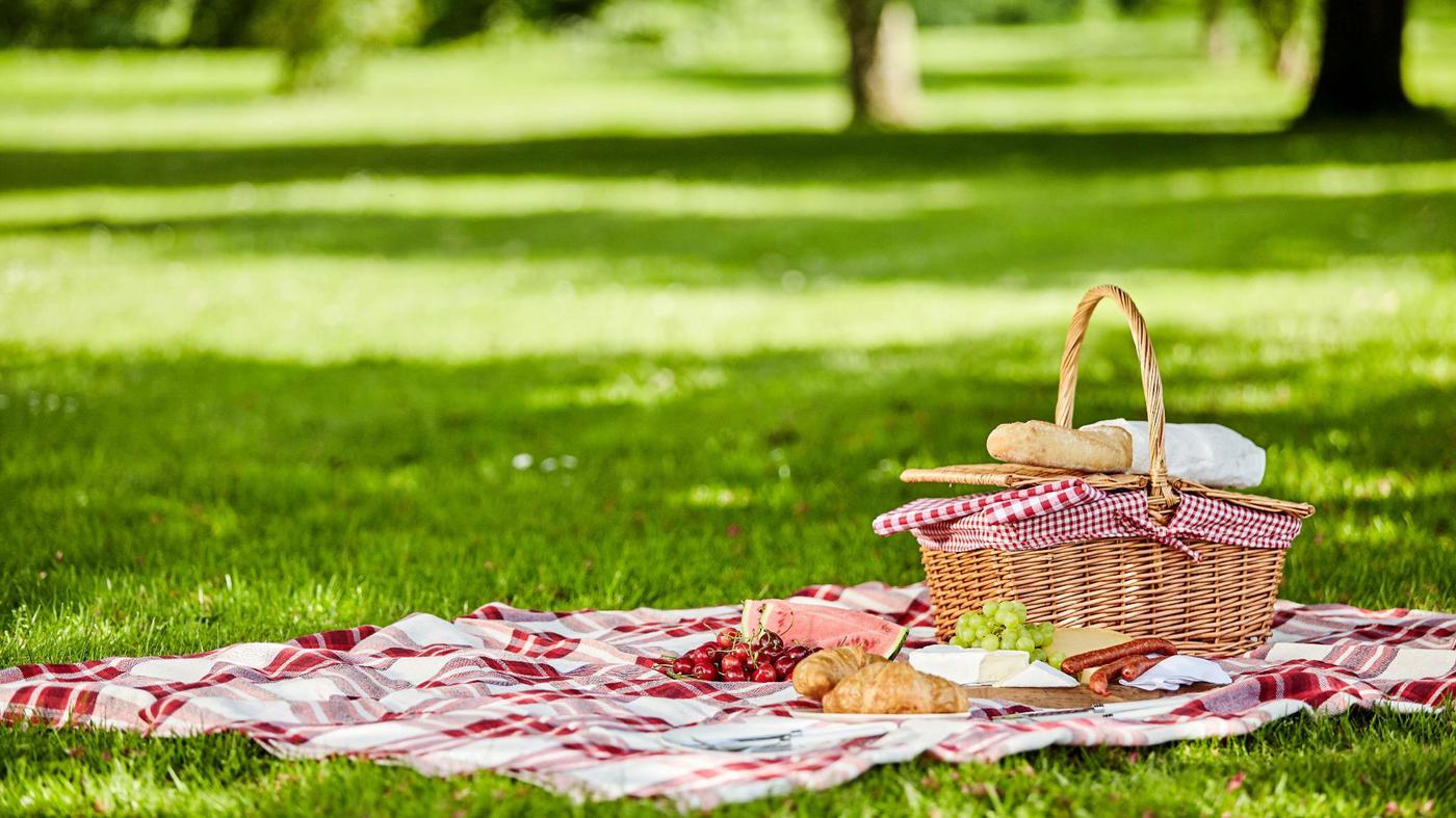 Große Bezirksübersucht: Die besten Tipps zum Picknicken in Berlin