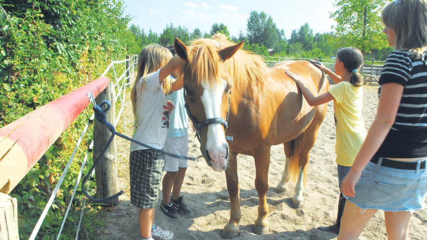 Berlin: Wie Ferien auf dem Bauernhof