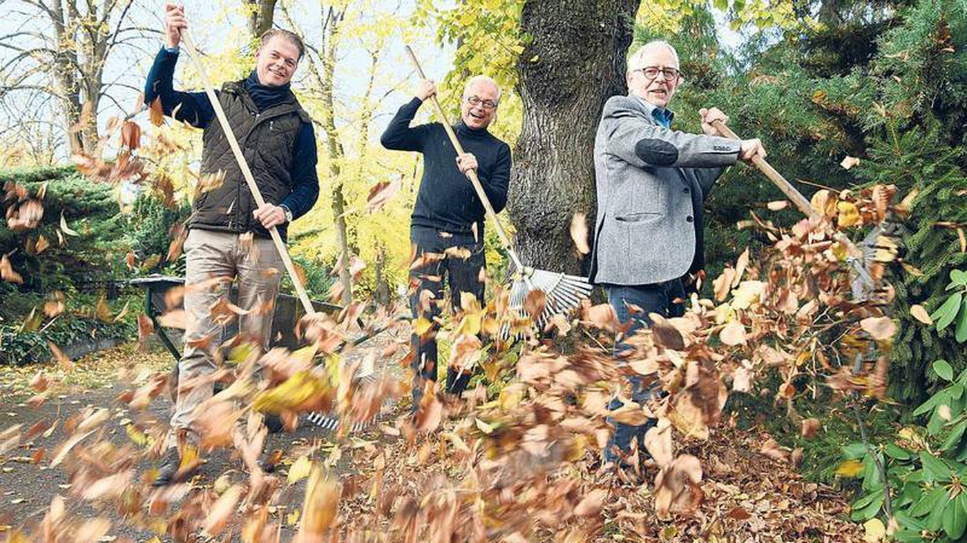 Friedhöfe: Eine goldene Decke aus Laub, die wegmuss