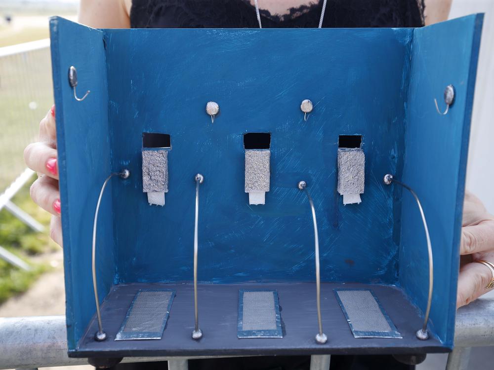 Berlinerin erfindet das „Missoir“: Diese Frau will der Klo ...