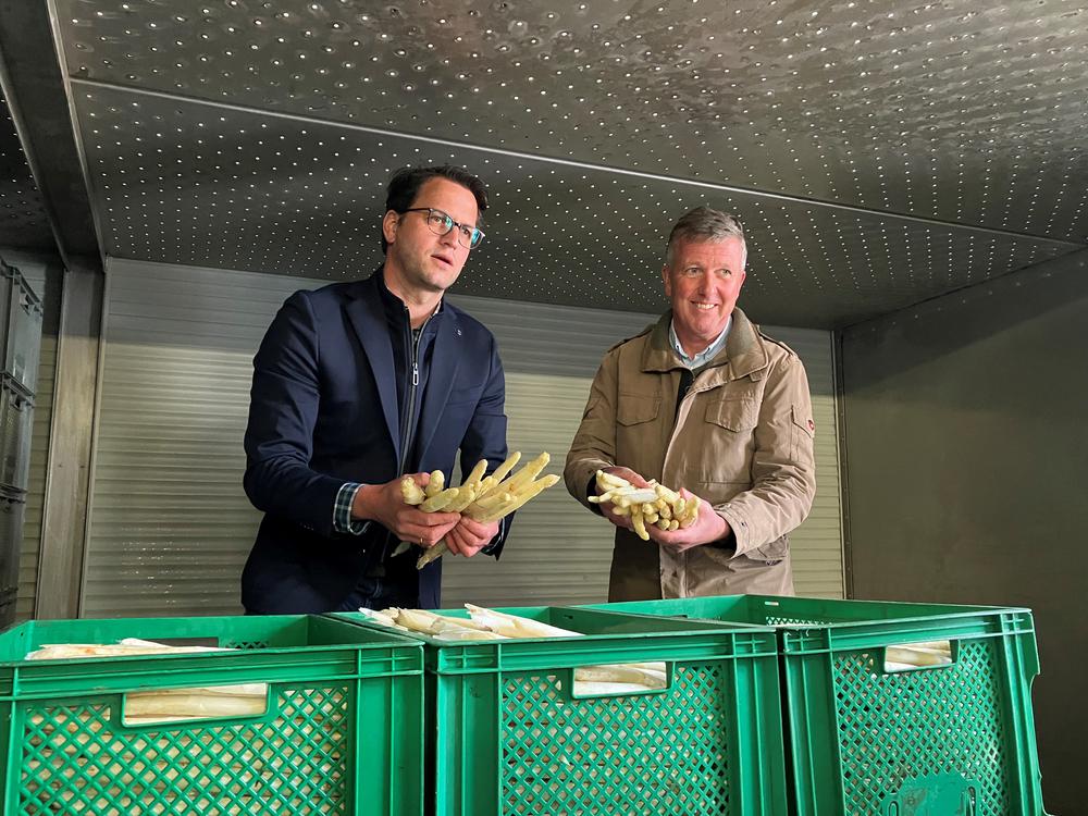 Spargelernte in Brandenburg: Beelitzer Bauern sehen sich durch ...