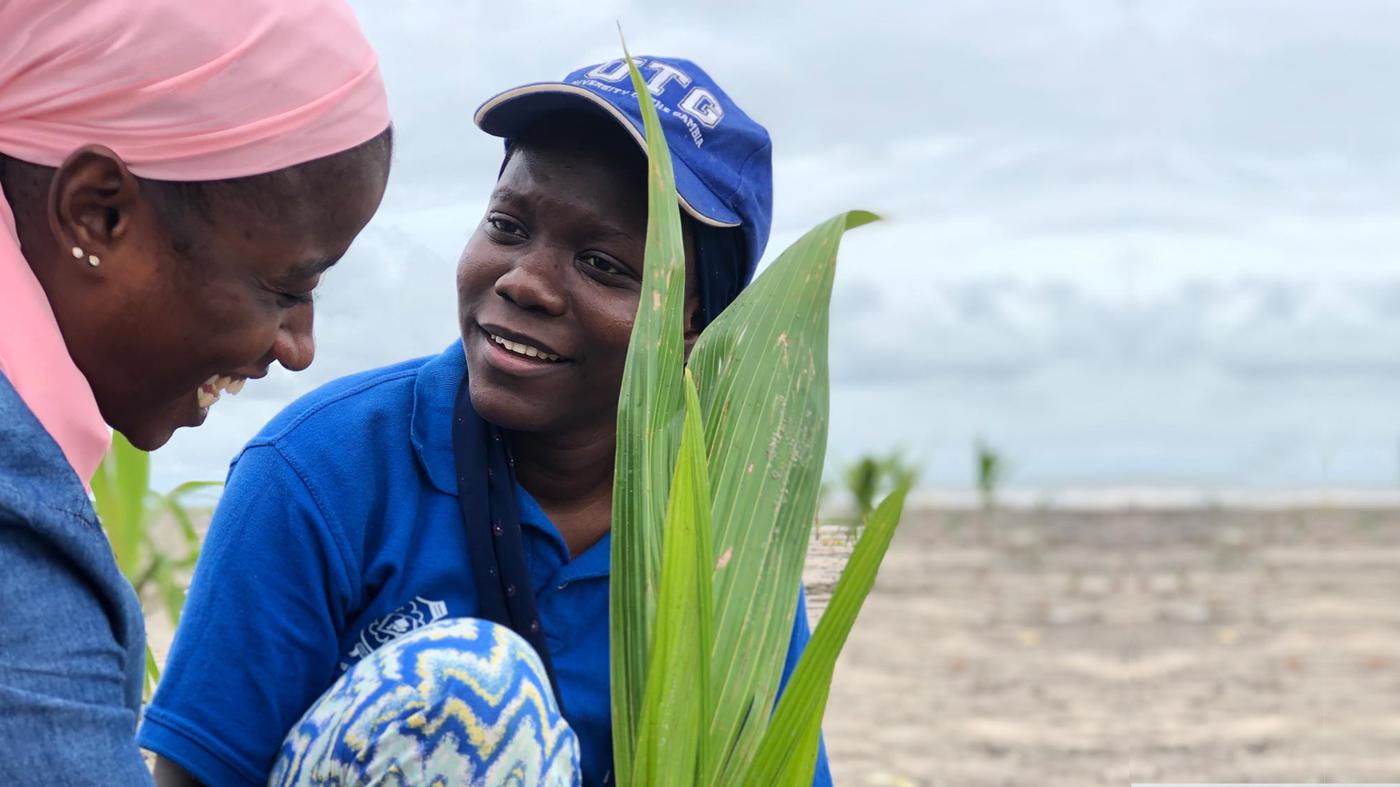 So viele Bäume wie möglich: Fatou Jeng lenkt die Klimabewegung in Afrikas kleinstem Land Gambia
