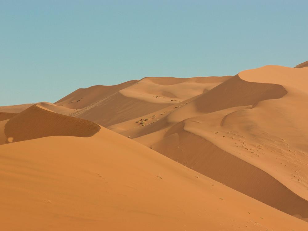 „Plötzlich konnte ich zwei Stunden am Stück lesen“: Wie braunes ...