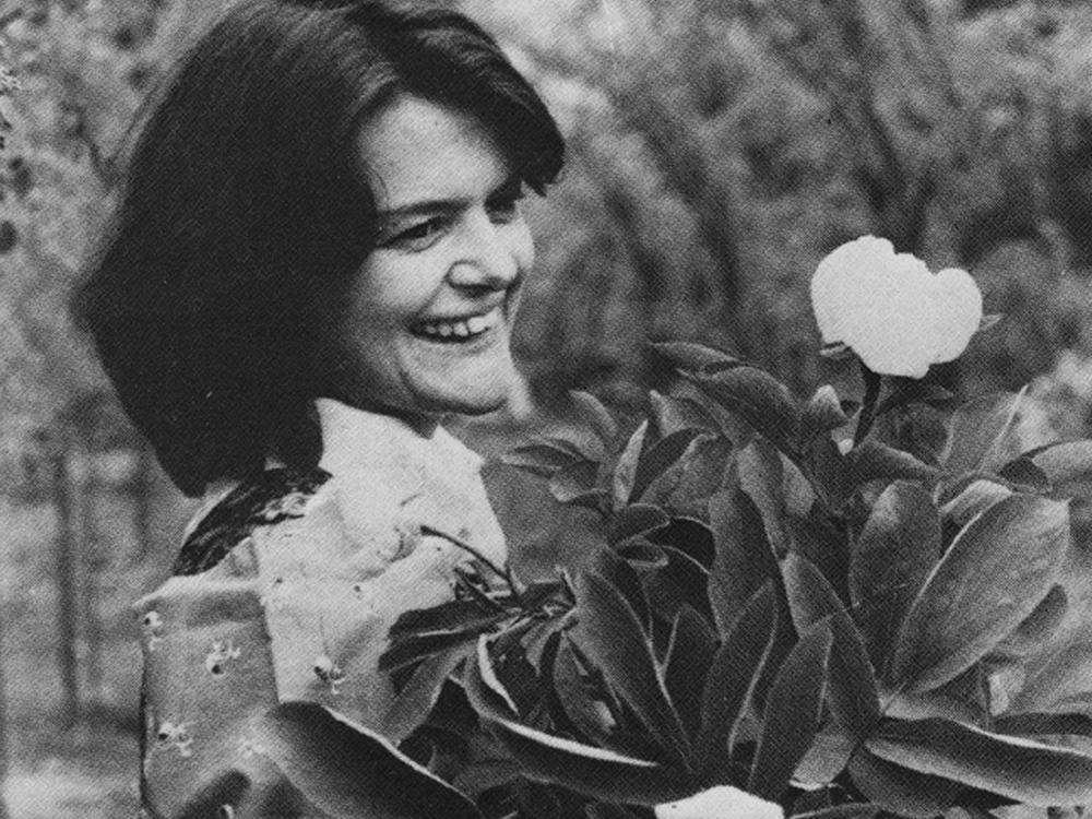 Britische Krebszentren: Diese Schutzinseln könnten ein Vorbild für ...