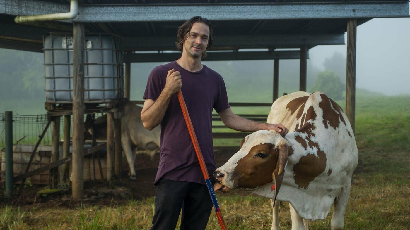 Kühe helfen auf Rezept