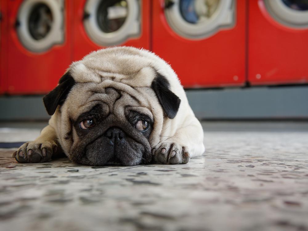 Die Kunst des Wartens: Wie der Mensch Geduld in diesen Zeiten aufbringt