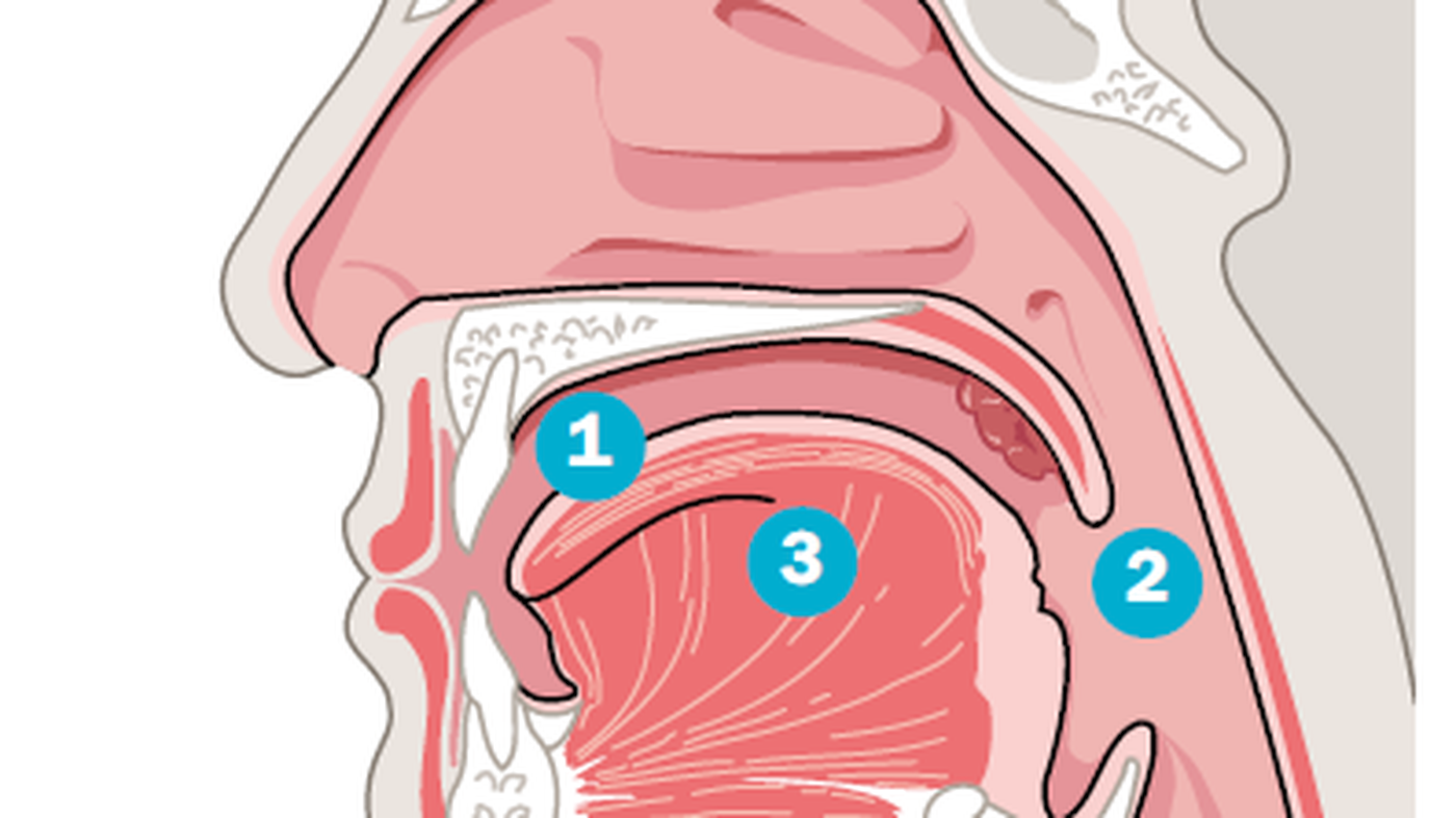 Alle Artikel in „Gesundheit“ vom 11.05.2016