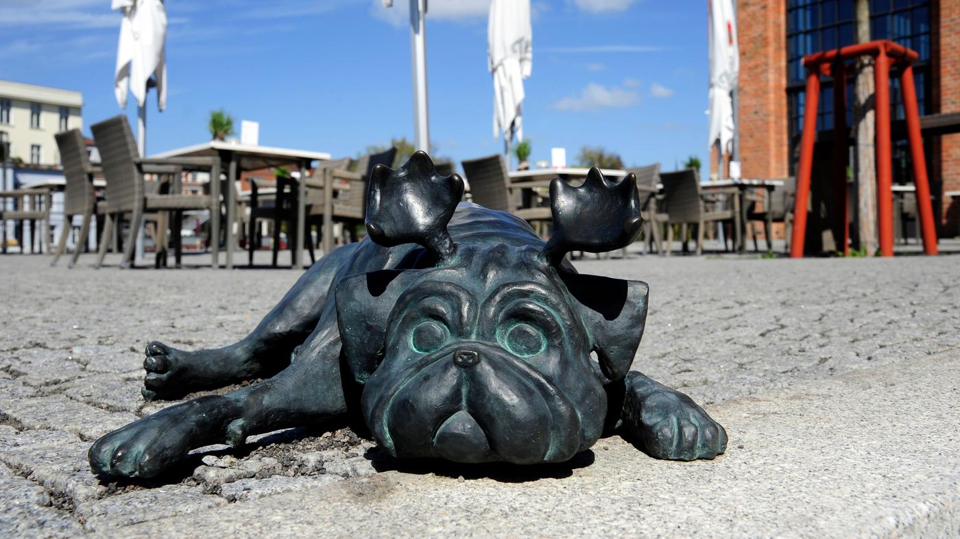 Waldmops-Pirsch: Auf Loriots Spuren durch Brandenburg an der Havel