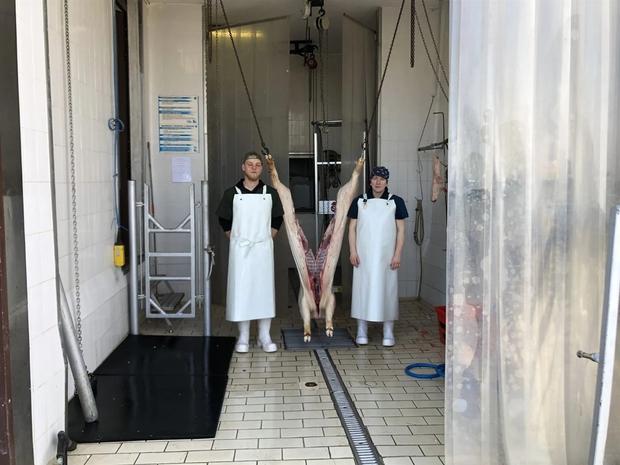 Schlachthaus, Fascho-Papagei und Vögel(n): Die besten und schlechtesten ...