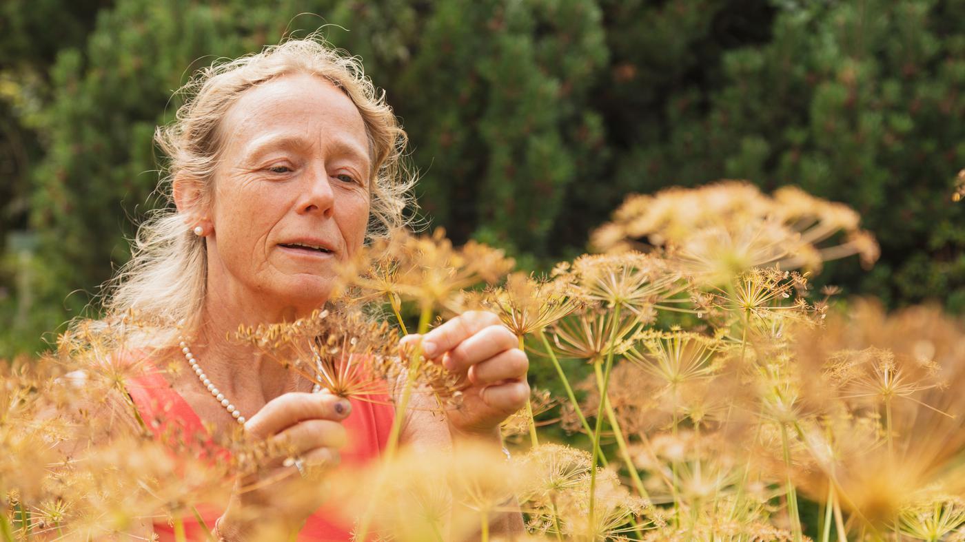 Chefin über 150 Millionen Berliner Samen: „Ohne uns haben seltene ...