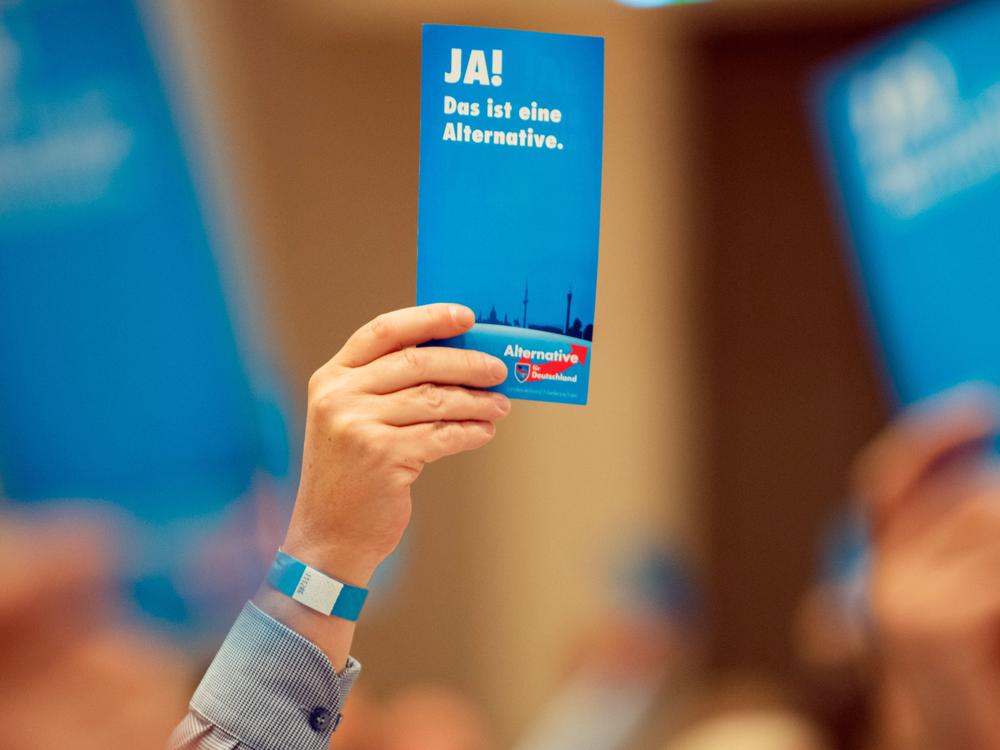 „Mehr als die NSDAP bei der Reichstagswahl 1930“: AfD erreicht neuen ...