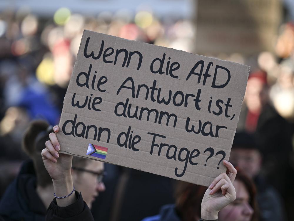 „AfD-Verbot, weil ich Döner mag“: Die originellsten Demo-Plakate und ...