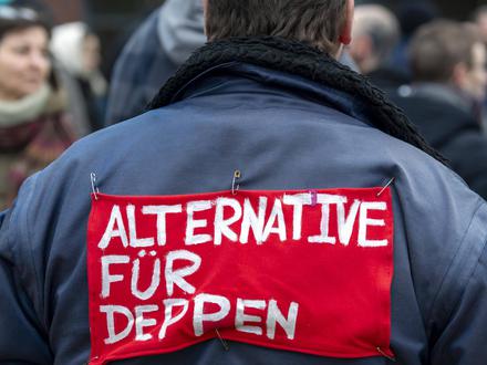„AfD-Verbot, weil ich Döner mag“: Die originellsten Demo-Plakate und Sprüche gegen Rechtsextremismus
