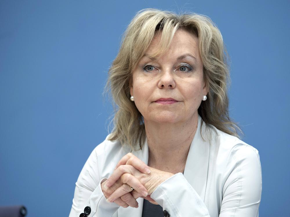 Milei und Musk statt Mietbremse und Mütterrente: Was eine ...