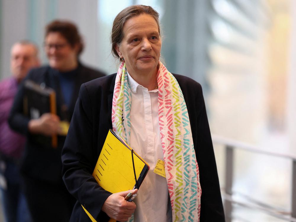 „Es ist ein Unding“: Was Staatsrechtler zur Wahlanfechtung sagen