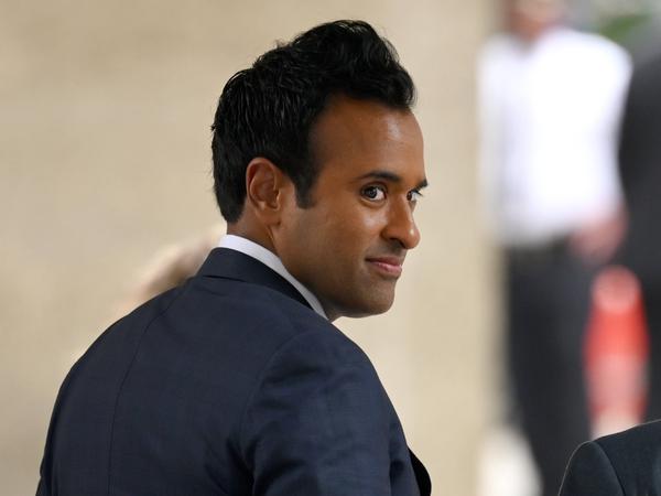 Massive Kürzungen bei Ausgaben und Personal: Wie Elon Musk und Vivek ...