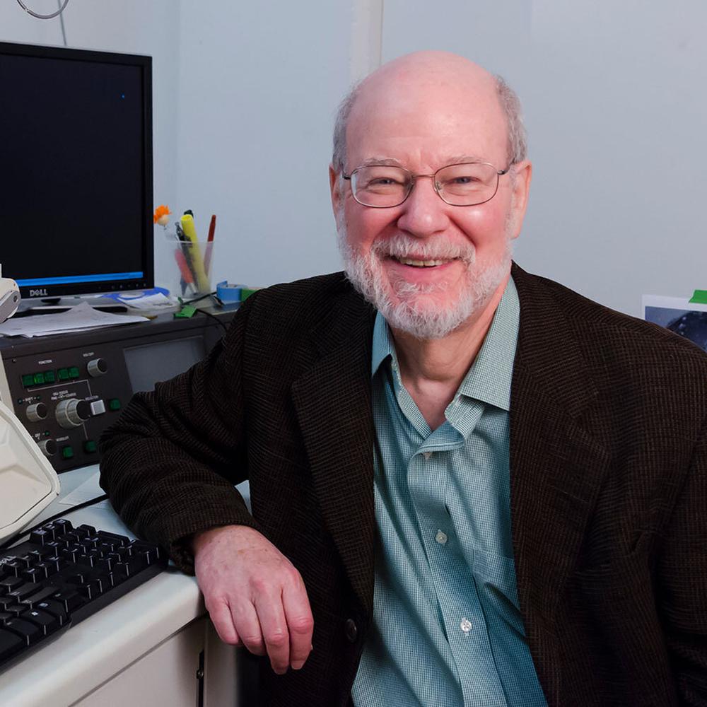 Vier persönliche Geschichten über die Nobelpreisträger 2024 : Wer sind die Menschen hinter den ...