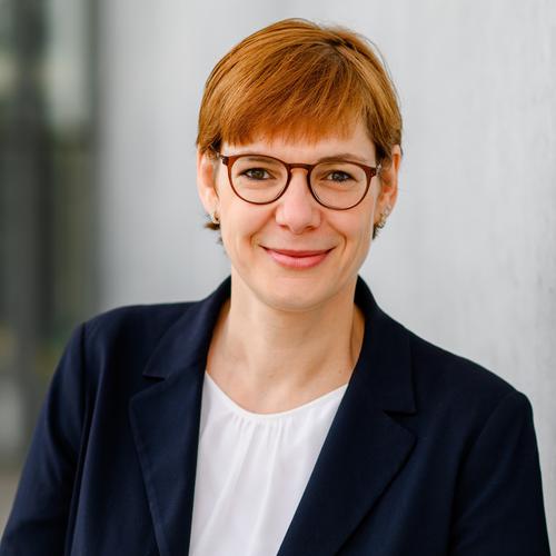 Das sagen Experten: Das Grünen-Wahlprogramm im Check