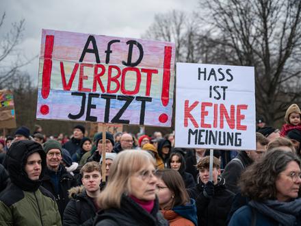 „AfD-Verbot, weil ich Döner mag“: Die originellsten Demo-Plakate und ...