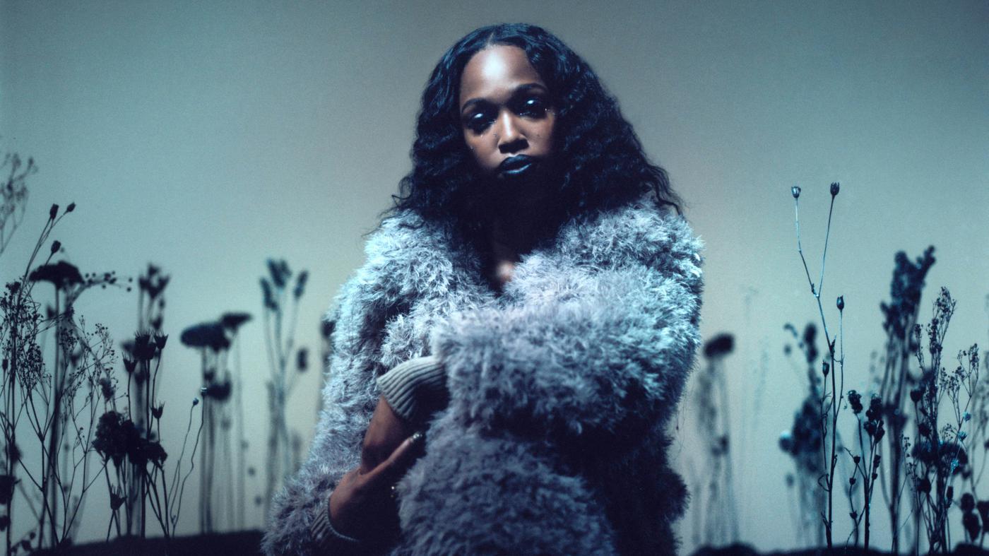 John Glacier, Panda Bear, bdrmm, Ritter Lean: Die Alben der Woche im ...