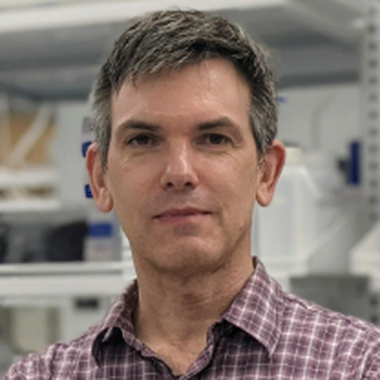 „Einst war Deutschland führend – dann kamen die Nazis“: 7 Forscher ...