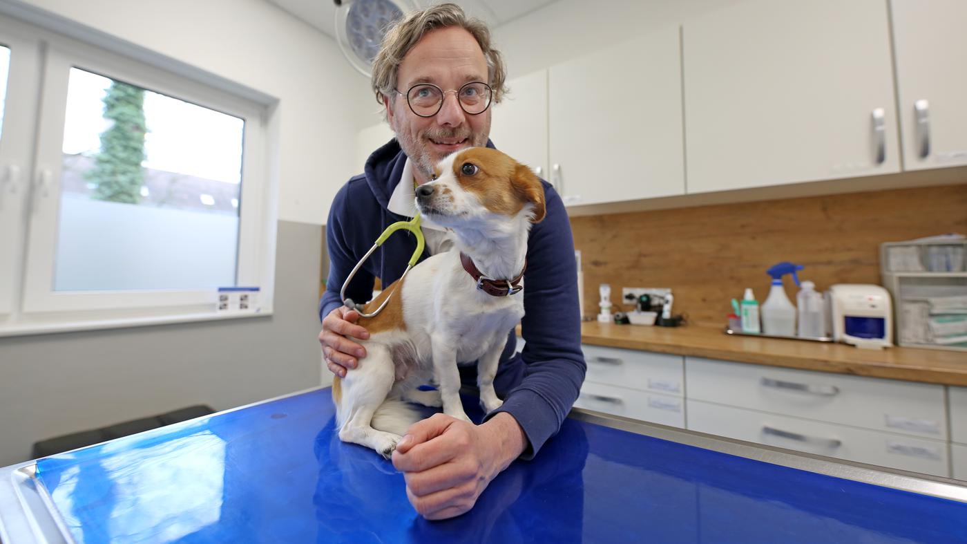 Wenn das Haustier schwer krank ist: Potsdamer Tierklinik AniCura bietet ...