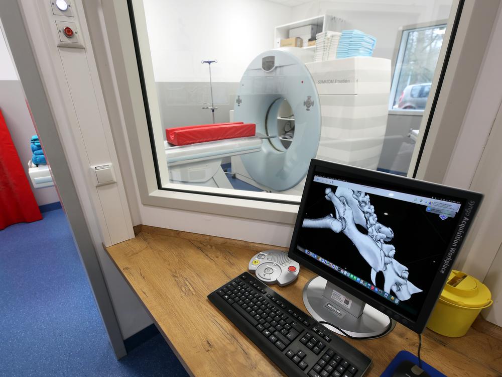 Wenn das Haustier schwer krank ist: Potsdamer Tierklinik AniCura bietet ...