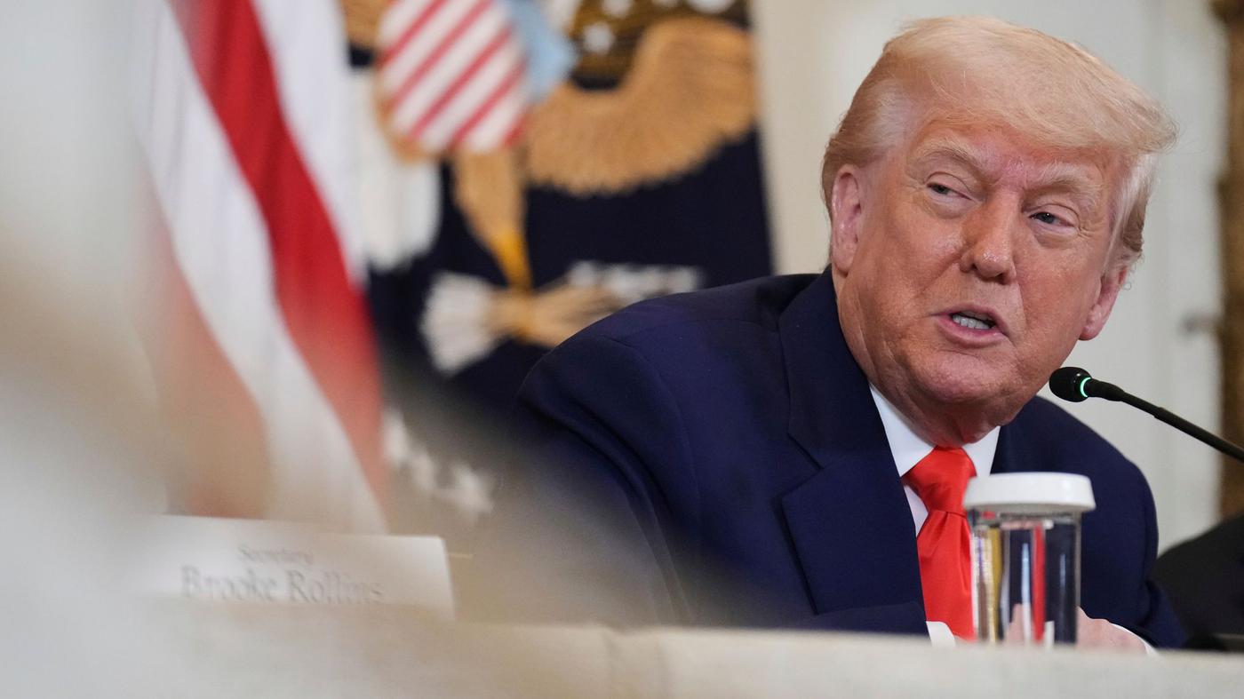 Vereinbarung mit Von der Leyen : Trump verschiebt Einführung von 50 ...