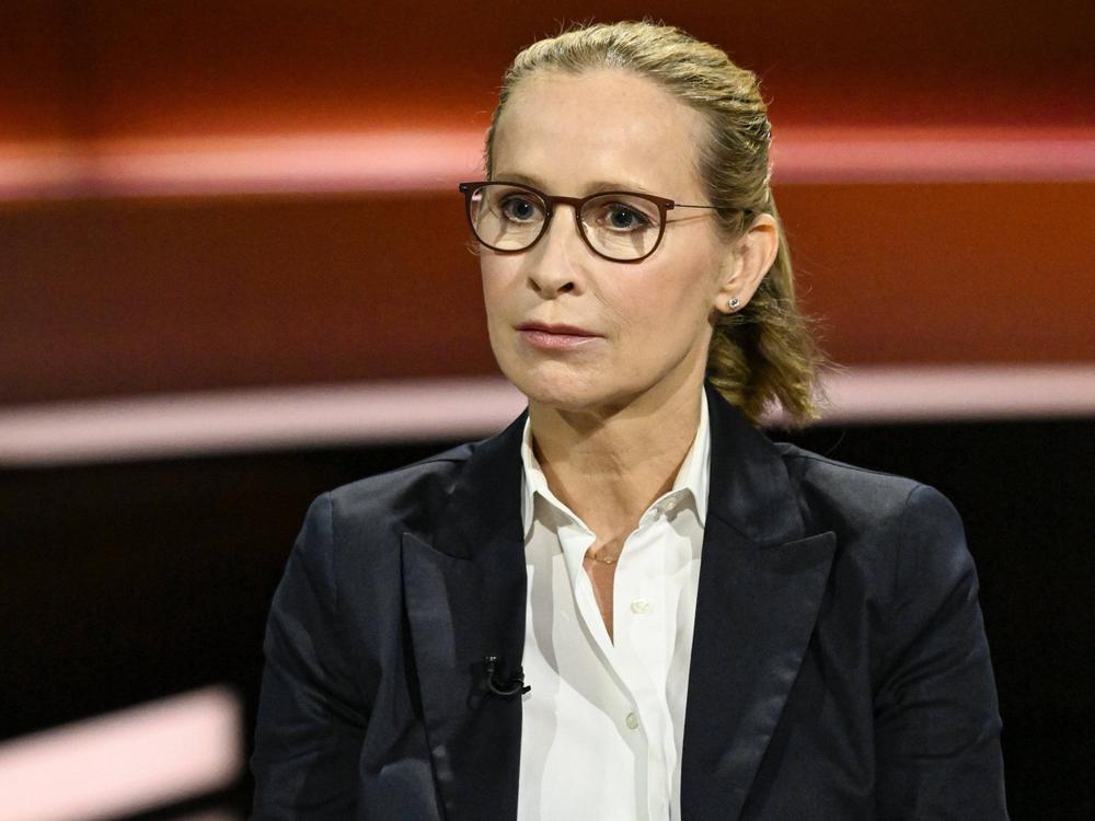 Ghostwriter-Vorwurf „ist lächerlich und absurd“: Brosius-Gersdorfs Anwälte bereiten rechtliche ...