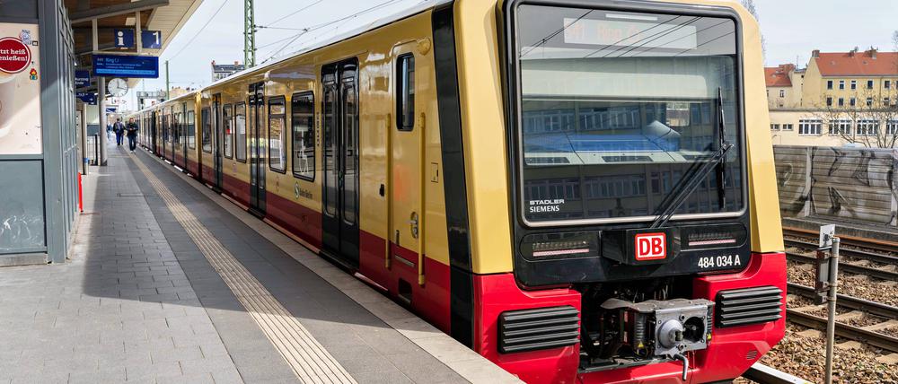 Bauarbeiten während der Sommerferien: Berliner S-Bahn wird am Stadtrand ...