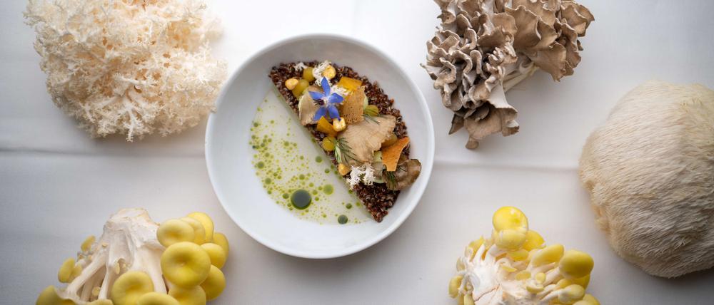 Gönn ich mir: Kochen gucken