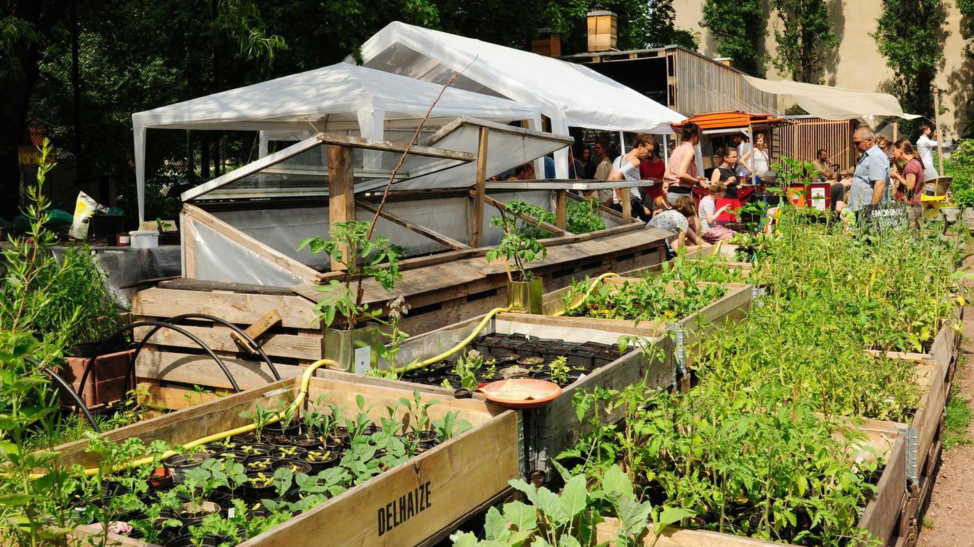 Urban Gardening oder Fußball für Kinder: Ein soziales Projekt bringt ...