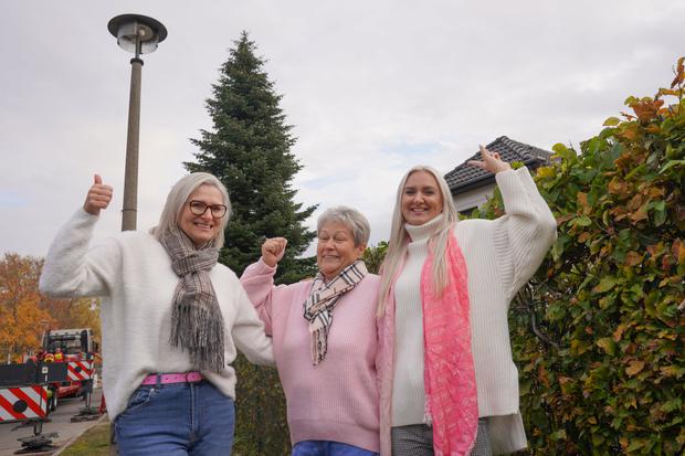 Eine Tanne für den Breitscheidplatz: Berlin bereitet sich schon Anfang ...