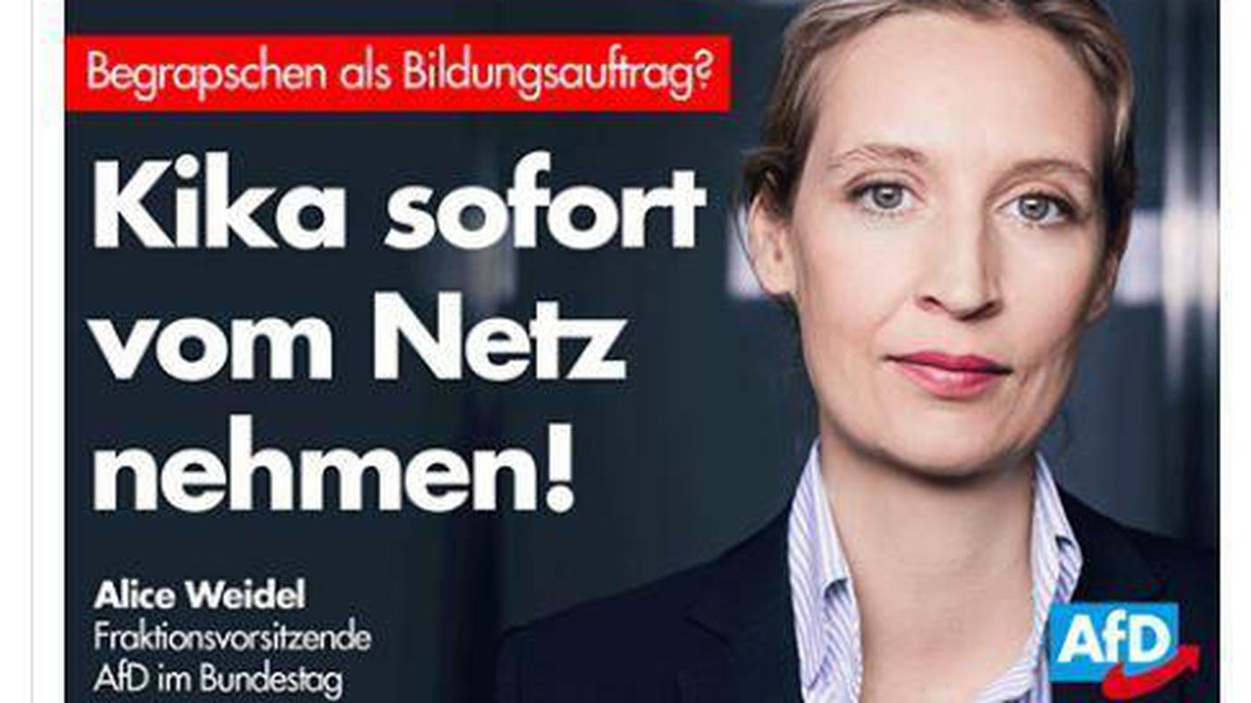 Fernsehkritik auf Facebook: Alice Weidel: "Kinderkanal sofort vom Netz ...
