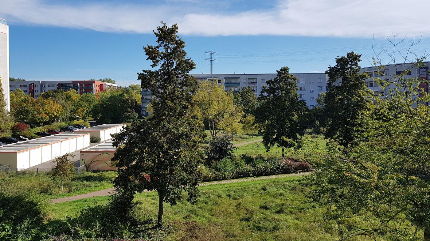 Kritik an geplantem Bauprojekt: Grüne Innenhöfe im Berliner Osten in Gefahr