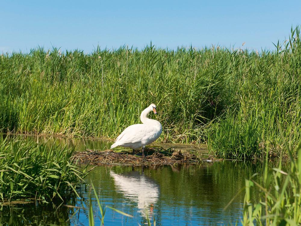 Brandenburg-Magazin 2019