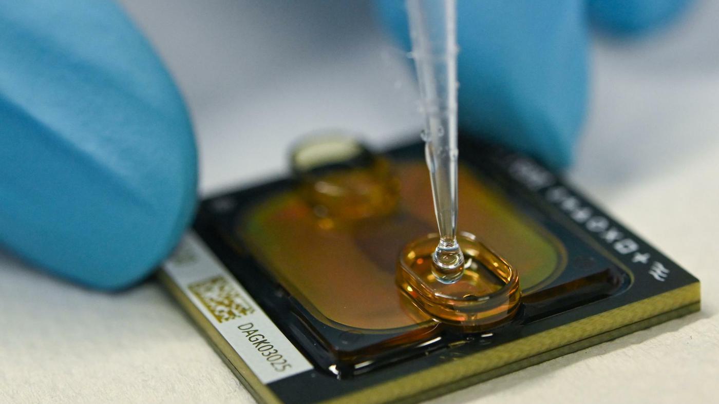 War das Virus schon früher im Umlauf?: Chinesische Forscher ließen ...