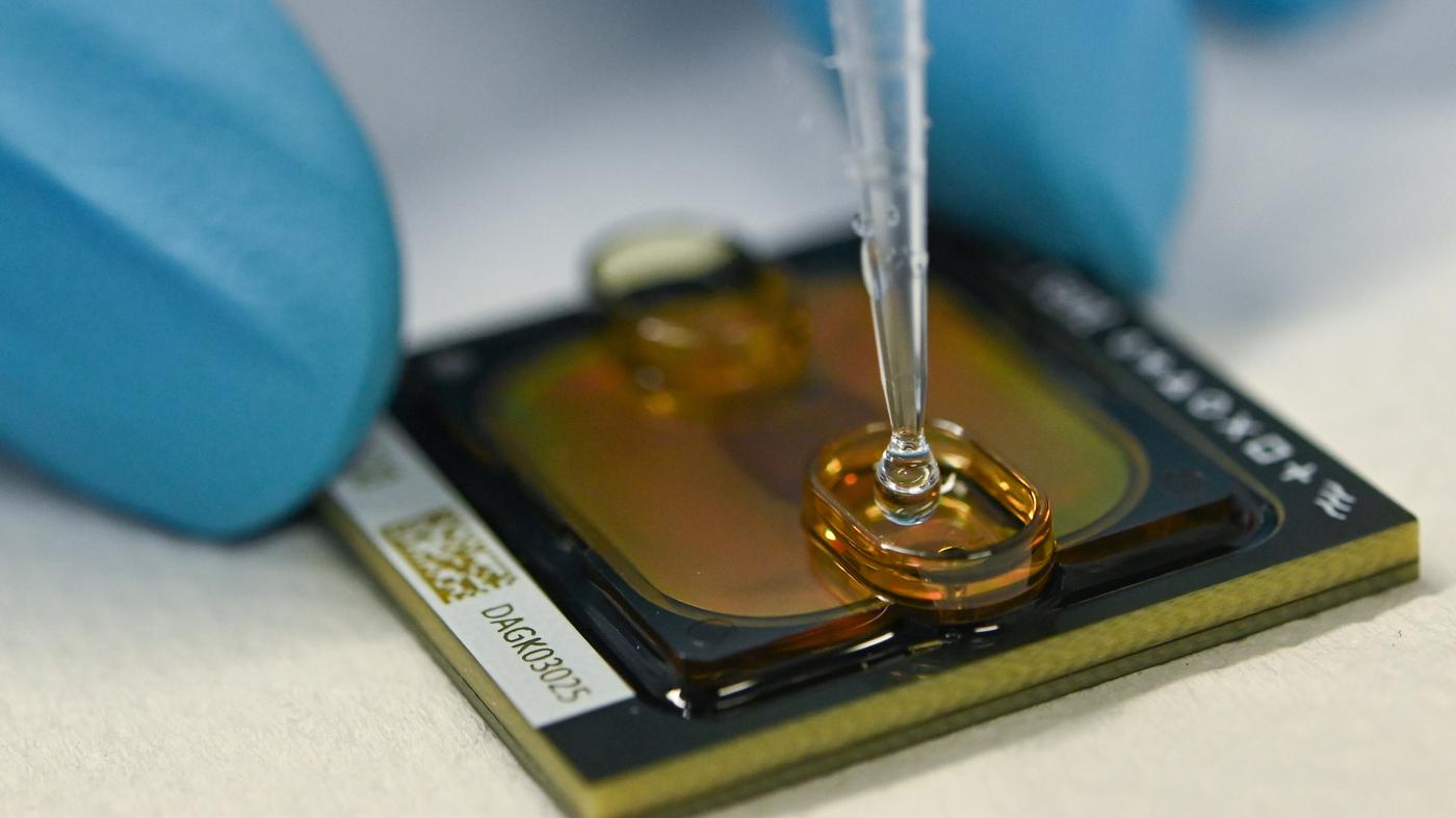 Coronawelle in Berlin und Brandenburg: Erhöhte Viruslast im Abwasser gemessen