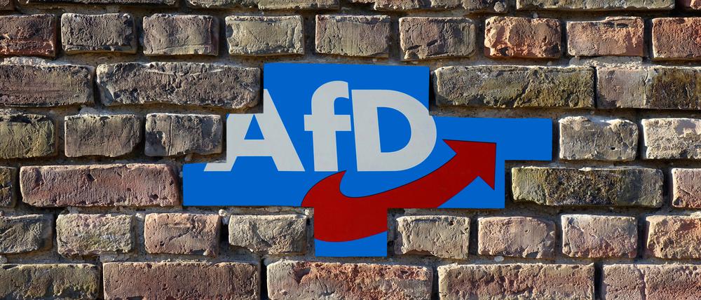 Die Gesellschaft kippt: Die Lebenslügen im Umgang mit der AfD