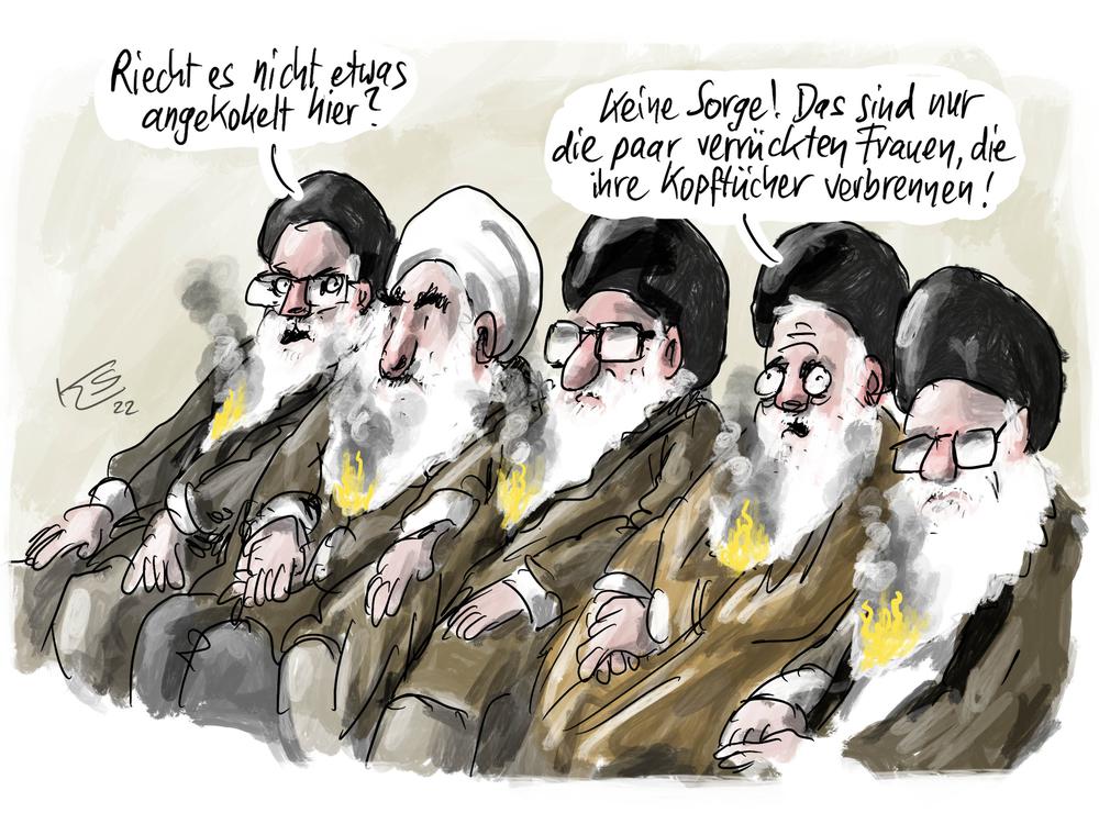 Ein Rückblick in Karikaturen: Kein schönes Jahr, aber ein historisches