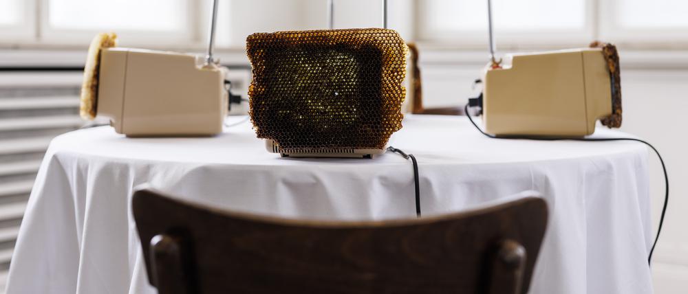 Unbändige Experimentierlust: Entdeckung der Berliner Künstlerin ...