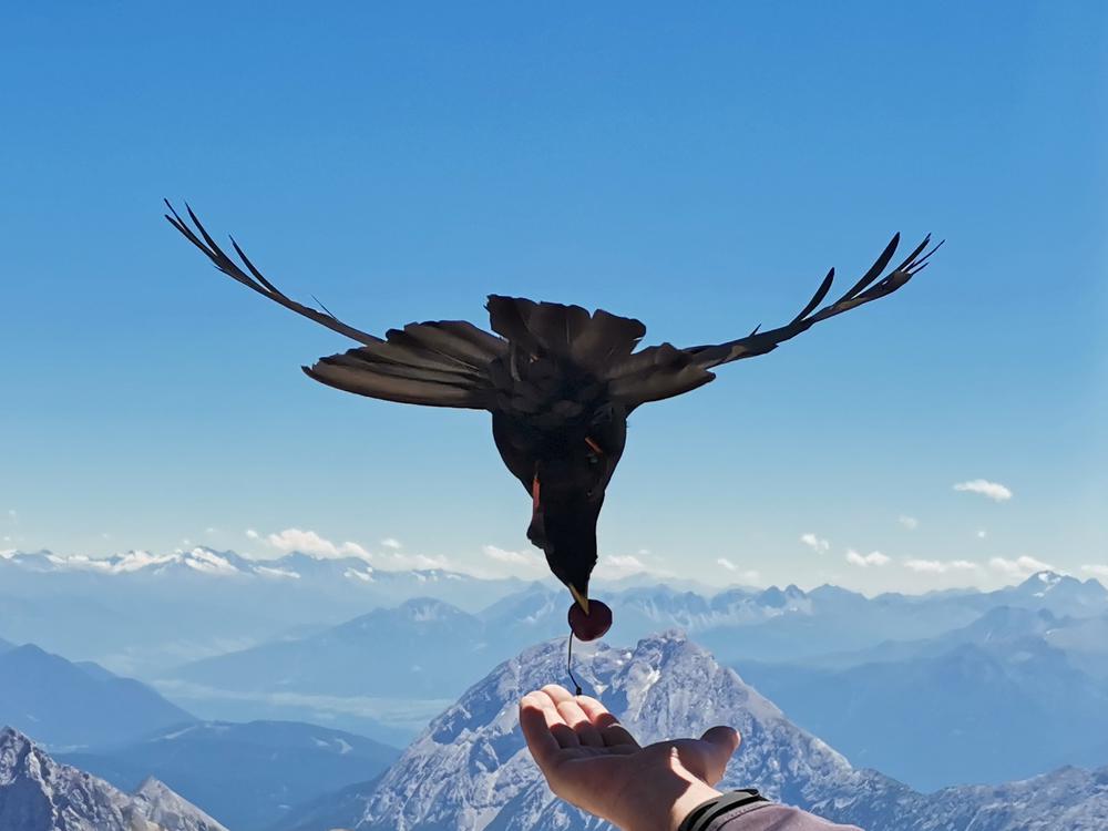 Mit dem Checkpoint um die Welt: Die beeindruckendsten Urlaubsfotos ...