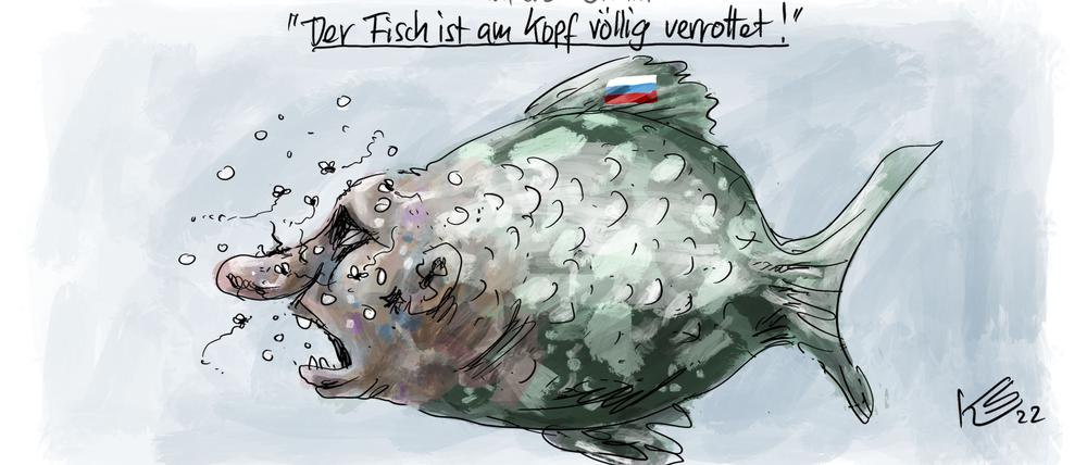 Ein Rückblick in Karikaturen: Kein schönes Jahr, aber ein historisches