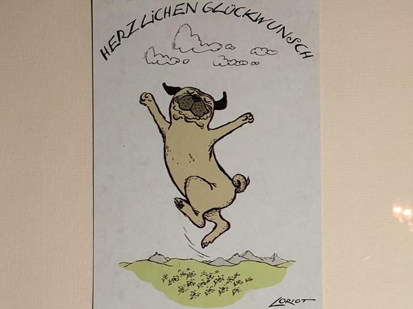 „Musikinstrument? Hat Loriot auch nie gelernt.“: Besuch bei einem ...