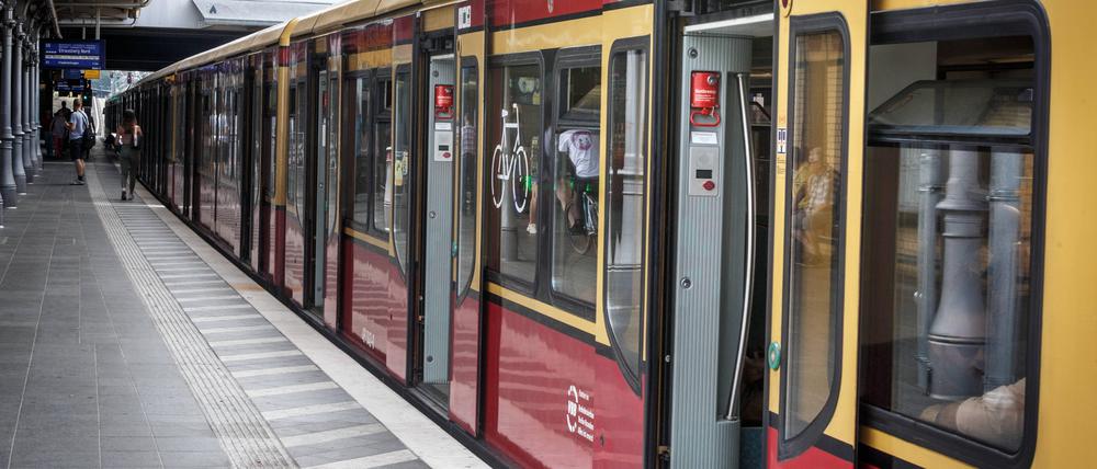 Semesterticket in Berlin: 53.000 Studierende fahren bald ohne