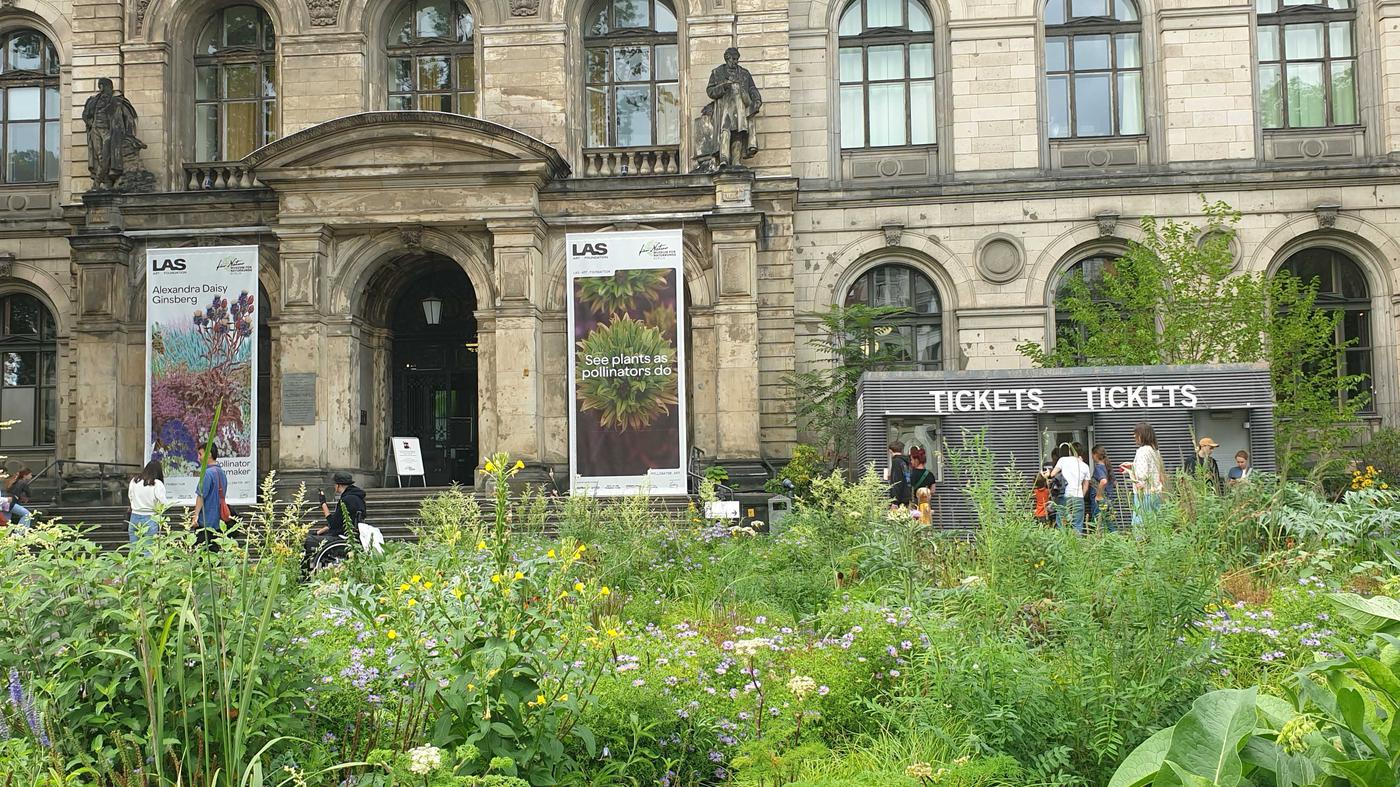 Wem gehört der Garten?: Insektenparadies vor dem Naturkundemuseum