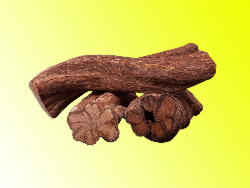 Die ganze Macht der Drogen: Können Psychedelika, die heute illegal sind ...